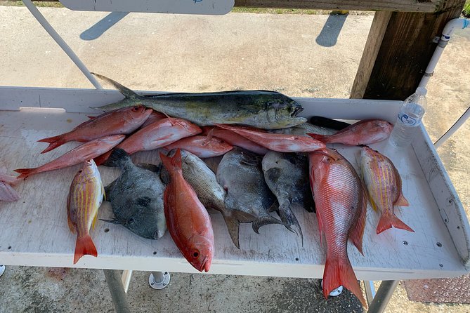 Jacksonville Fishing Charter-23' - FAQ