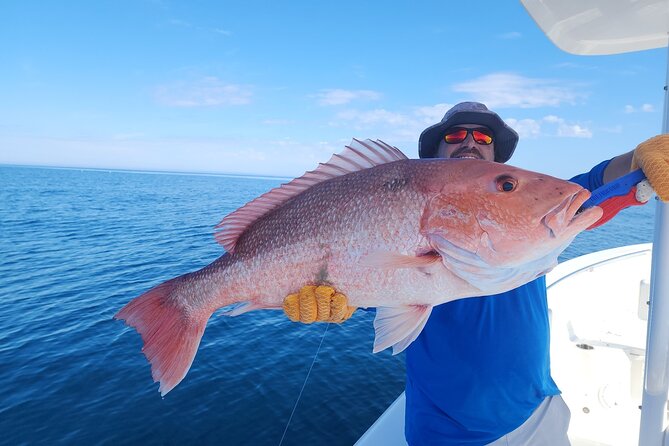 Jacksonville Private Boat Tour Daytime or Sunset, up to 6 people - Final Thoughts