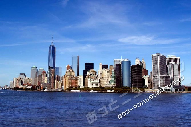JAPANESE guided tour!! New York city "1-day" sightseeing tour. Times Square, the Statue of Liberty, Wall St, and more. - The Sum Up