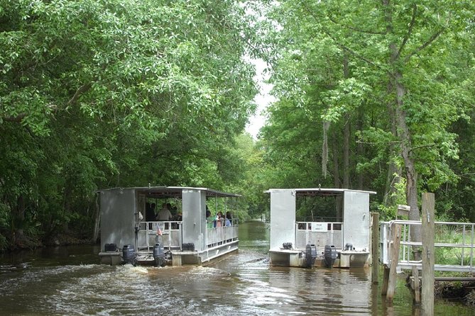 Jean Lafitte 90-Minute Swamp and Bayou Boat Tour - The Sum Up