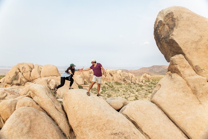 Joshua Tree Full Day Private Tour and Hike - An Honest Look at the Joshua Tree Full-Day Private Tour and Hike