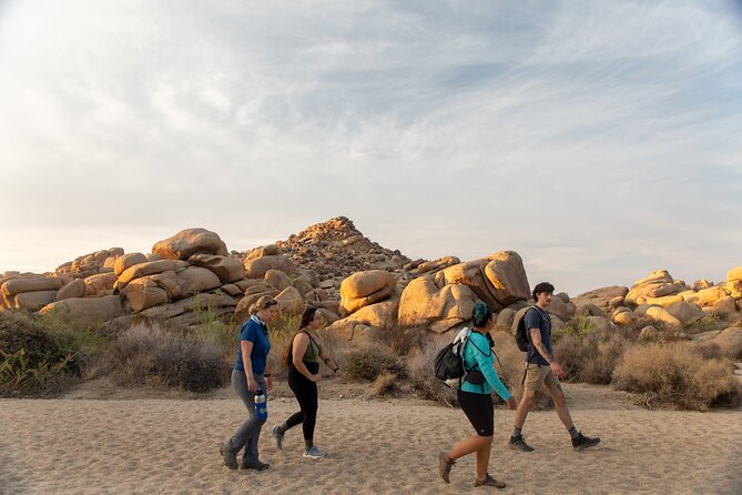Joshua Tree Full Day Private Tour and Hike - Final Thoughts