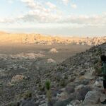 Joshua Tree Half Day Private Sunrise Hike - Who Will Love This Tour?