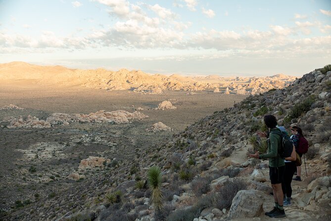 Joshua Tree Half Day Private Sunrise Hike - Who Will Love This Tour?