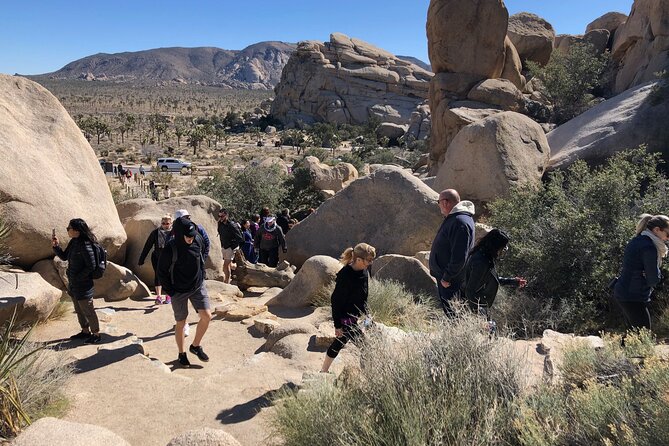 Joshua Tree National Park Driving Tour - Exploring the Itinerary: What You’ll See and Do