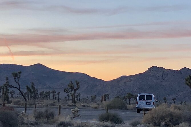Joshua Tree National Park Driving Tour - The Value Proposition: Is the Price Worth It?