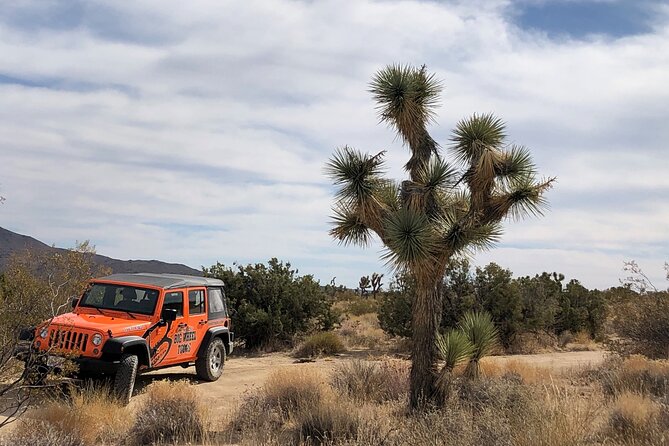 Joshua Tree National Park Offroad Tour - Pricing and Value