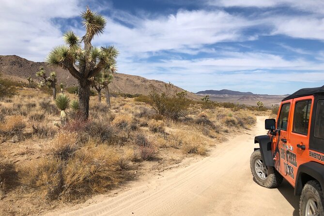 Joshua Tree National Park Offroad Tour - Who Will Love This Tour?