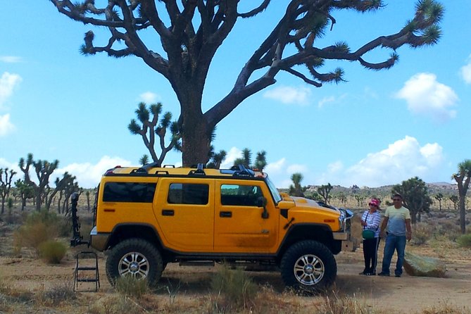 Joshua Tree National Park Scenic Tour - Introduction: A Guide to the Joshua Tree Scenic Tour