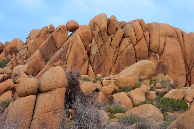Joshua Tree National Park Scenic Tour - Attention to Detail: How the Tour Works for You