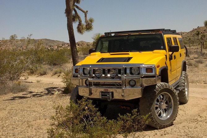 Joshua Tree National Park Scenic Tour - Authentic Experiences Gleaned from Reviews