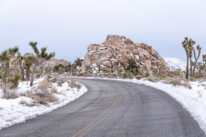 Joshua Tree National Park Self-Guided Driving Audio Tour - Limitations and Considerations