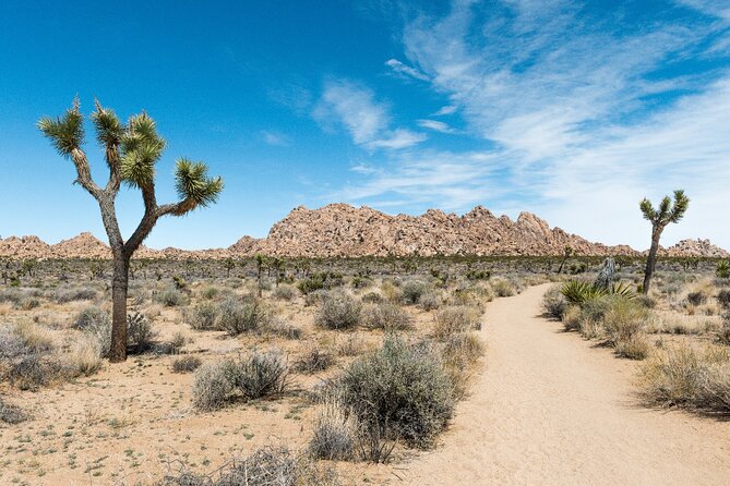 Joshua Tree National Park Self-Guided Driving Audio Tour - Final Thoughts: Who Will Love This Tour?