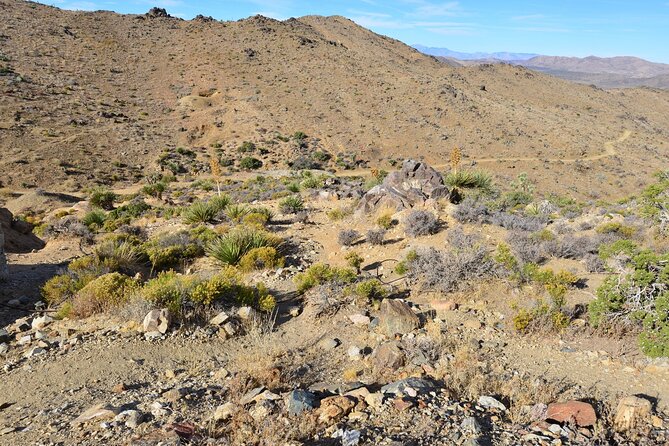 Joshua Tree National Park Self-Guided Driving Audio Tour - Final Word