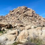 Joshua Tree Natural Wonders Walk: Plants, Animals and Rocks - A Deep Dive into the Joshua Tree Natural Wonders Walk