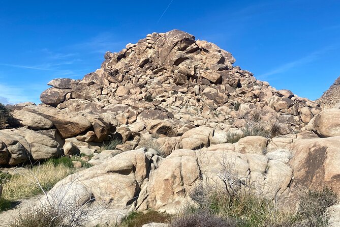 Joshua Tree Natural Wonders Walk: Plants, Animals and Rocks - A Deep Dive into the Joshua Tree Natural Wonders Walk