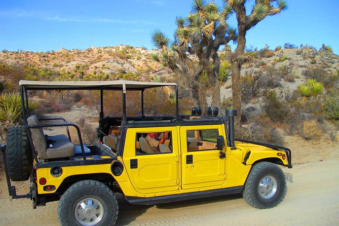 Joshua Tree Open Air Hummer Adventure - A Full Breakdown of the Experience