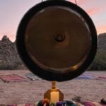 Joshua Tree: Soundbath Under The Stars - Detailed Breakdown of the Itinerary