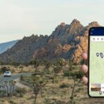 Journey into Joshua Tree: Audio Driving Tour and Local Guide - Who Is This Tour Best For?