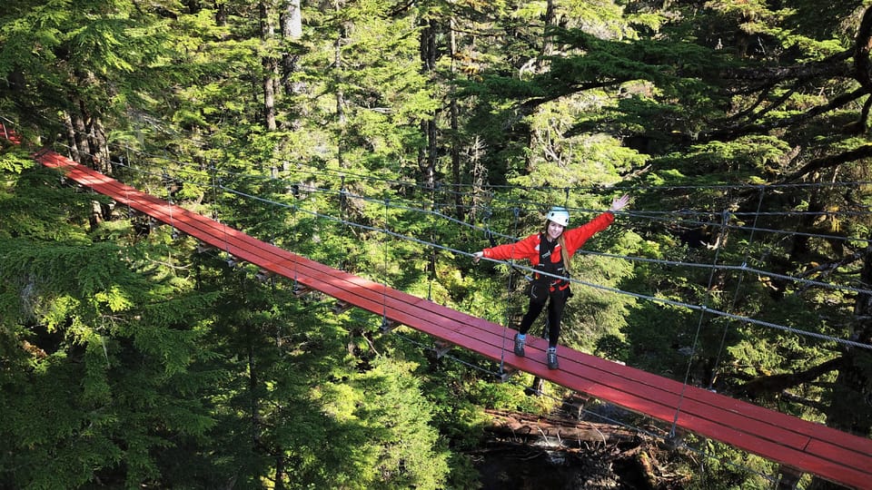 Juneau: Alpine Zipline Adventure - Key Points  