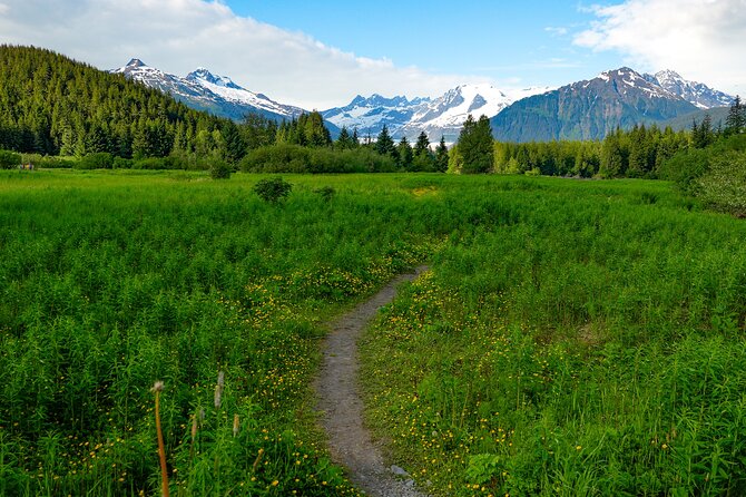 Juneau Highlights and Mendenhall Glacier Tour - The Mendenhall Glacier: A Natural Marvel