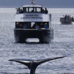 Juneau Lighthouse Tours - Whale watching & Lighthouse Combo - Pricing & Value