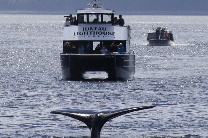 Juneau Lighthouse Tours - Whale watching & Lighthouse Combo - Pricing & Value