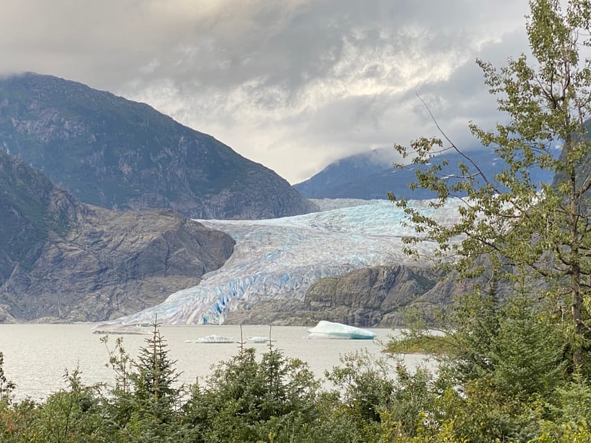 Juneau: Mendenhall Glacier and Whale Watching Tour - Key Points
