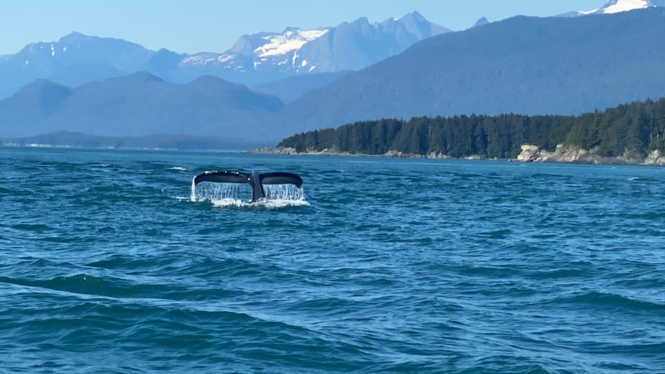 Juneau: Mendenhall Glacier and Whale Watching Tour - An In-Depth Look at the Tour