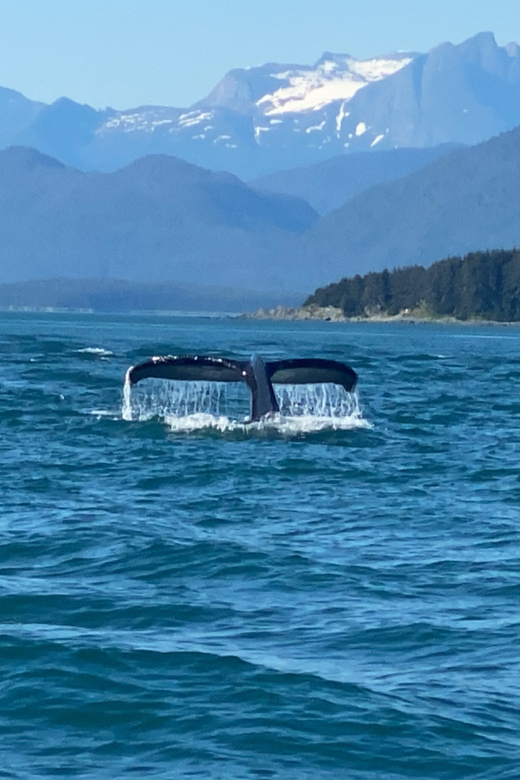 Juneau: Mendenhall Glacier and Whale Watching Tour - Who Will Love This Tour?