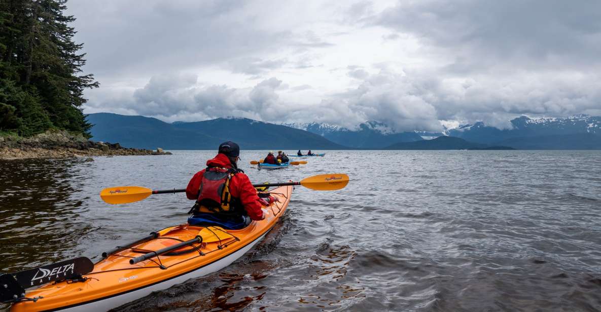 Juneau: Paddle with Whales Kayak Adventure - Exploring Juneau: Paddle with Whales Kayak Adventure