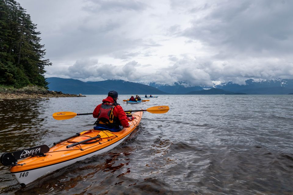 Juneau: Paddle with Whales Kayak Adventure - What’s Included and What’s Not