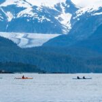 Juneau: Paddle with Whales Kayak Adventure - In-Depth Look at the Itinerary