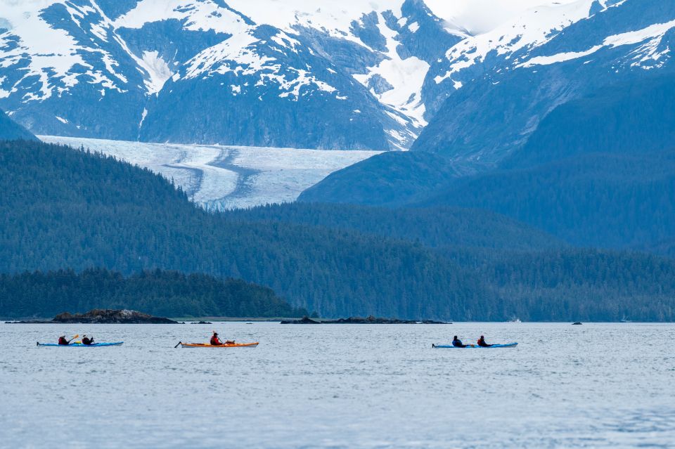Juneau: Paddle with Whales Kayak Adventure - In-Depth Look at the Itinerary