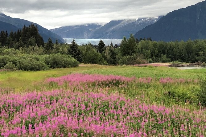 Juneau Private 3 Hour Scenic Road Trip - Analyzing the Value and Experience