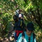Juneau Shore Excursion: Mendenhall Glacier Guided Hike - The Itinerary: From Port to Glacier and Back