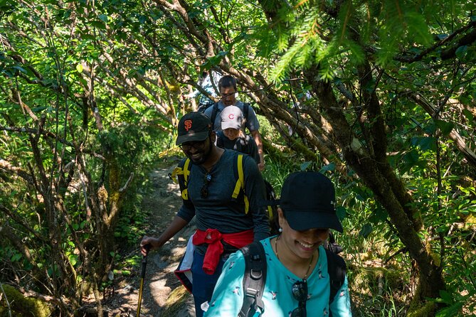 Juneau Shore Excursion: Mendenhall Glacier Guided Hike - The Itinerary: From Port to Glacier and Back