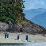 Juneau Shore Excursion: Paddle with Whales Kayak Adventure - Value and Pricing: Is It Worth It?
