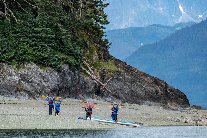 Juneau Shore Excursion: Paddle with Whales Kayak Adventure - Value and Pricing: Is It Worth It?