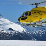 Juneau Shore Excursions: Helicopter Dogsledding Experience and Additional Glacier Landing - What’s Included and What to Know