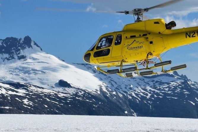 Juneau Shore Excursions: Helicopter Dogsledding Experience and Additional Glacier Landing - What’s Included and What to Know