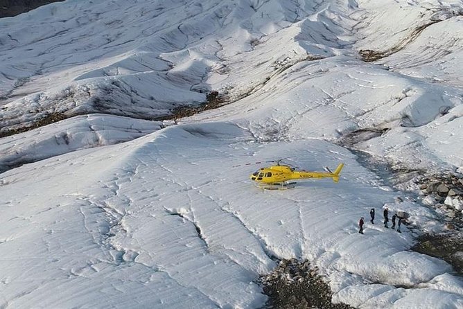 Juneau Shore Excursions: Helicopter Dogsledding Experience and Additional Glacier Landing - Authentic Traveler Insights