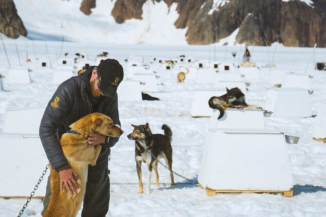 Juneau Shore Excursions: Helicopter Dogsledding Experience and Additional Glacier Landing - Who Should Consider This Tour?