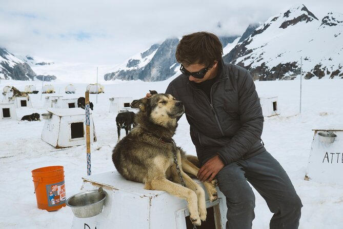 Juneau Shore Excursions: Helicopter Dogsledding Experience and Additional Glacier Landing - FAQ