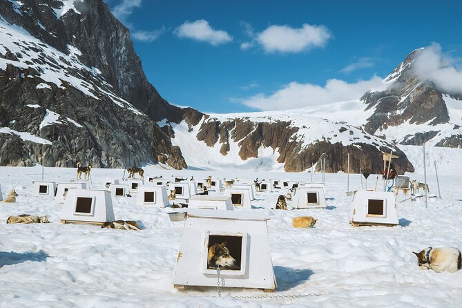 Juneau Shore Excursions: Juneau Helicopter Tour & Dogsledding Experience - FAQ