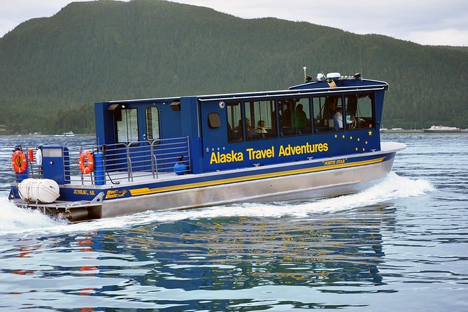Juneau Whale Watching Adventure - The Cons: Weather and Cancellations