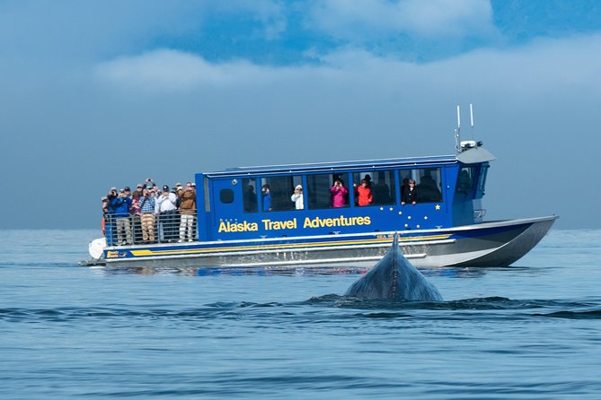 Juneau Whale Watching and Salmon Bake - Who Will Love This Tour?