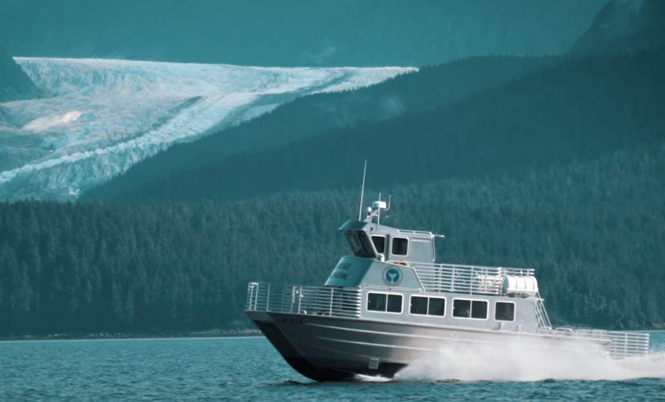 Juneau: Whale Watching and Wildlife Cruise with Local Guide - The Experience of the Guides and Crew