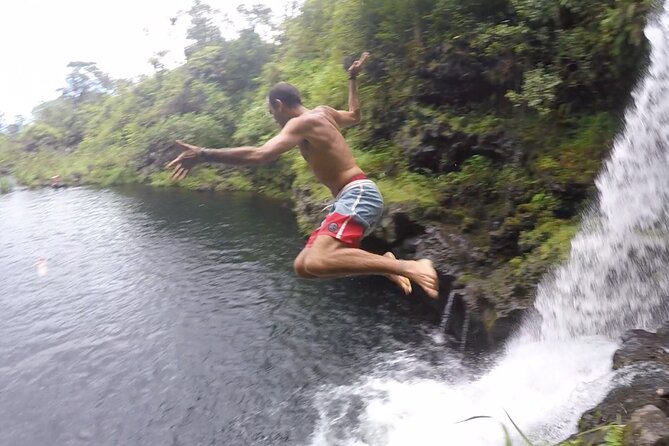 Jungle Waterfall Adventure on Maui - The Value of the Tour