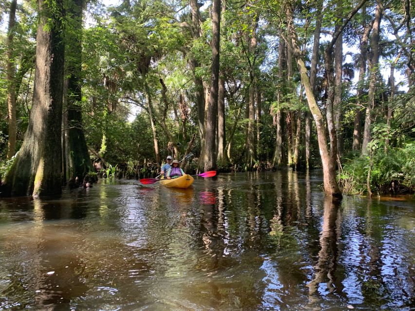 Jupiter: Wild and Scenic Loxahatchee River Kayak Tour - Jupiter: Wild and Scenic Loxahatchee River Kayak Tour